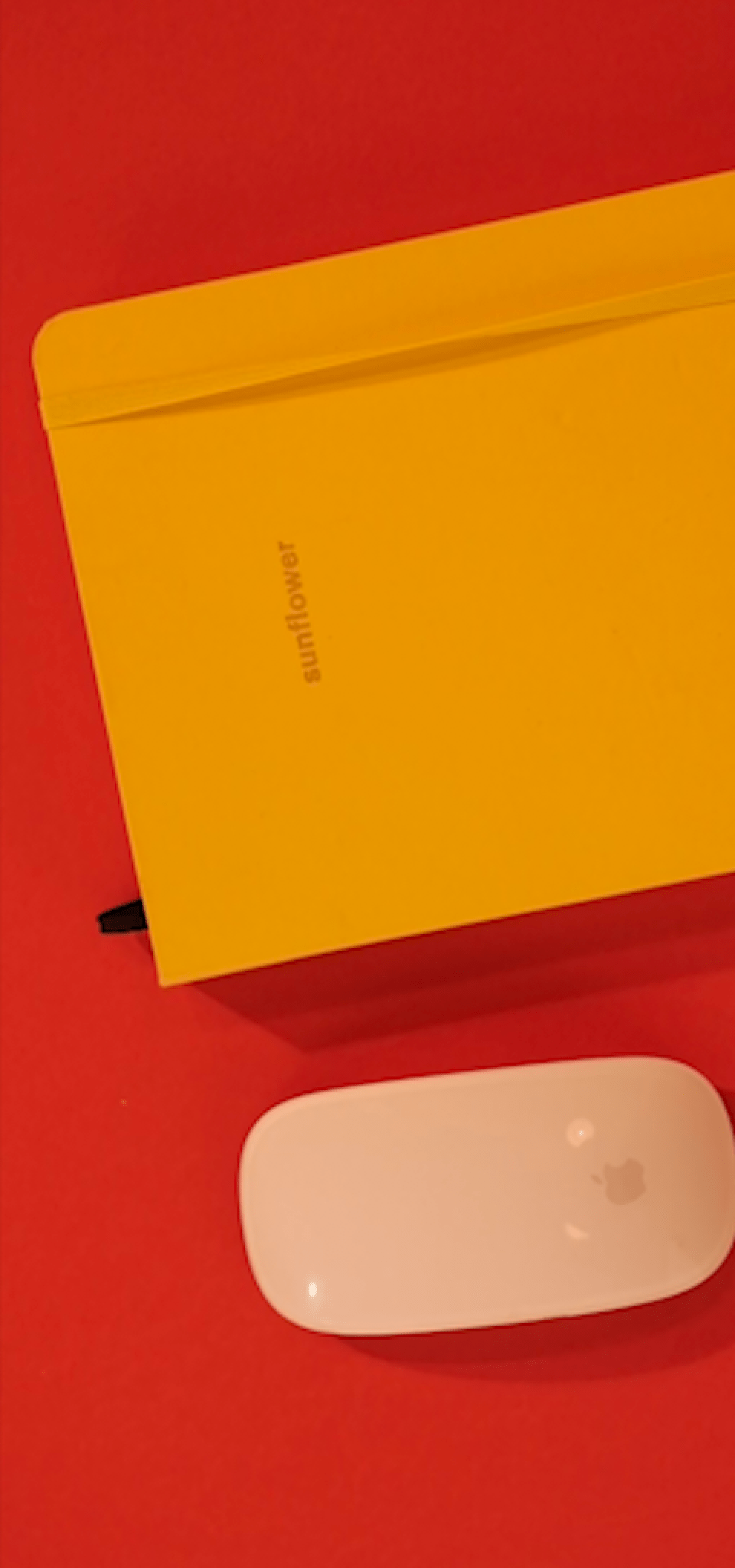 Seattle Digital Agency - Web Design and Development - Y-Designs, Inc