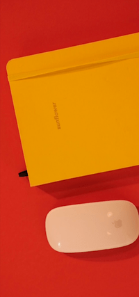 Seattle Digital Agency - Web Design and Development - Y-Designs, Inc